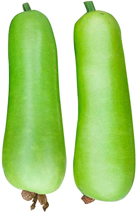 Long squash (~2 lb)– Fresh Central Grocery